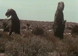 Specimen 144 | Specimen Database Wiki | Fandom