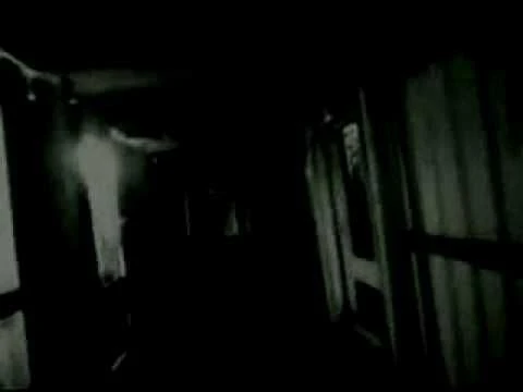 Specimen 73 | Specimen Database Wiki | Fandom