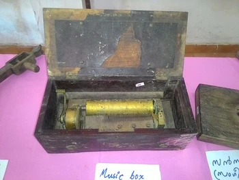 Specimen 15 | Specimen Database Wiki | Fandom