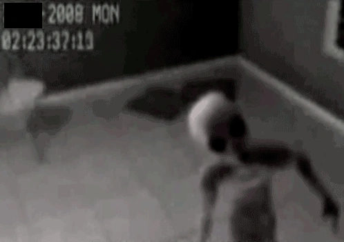 Specimen 124 | Specimen Database Wiki | Fandom