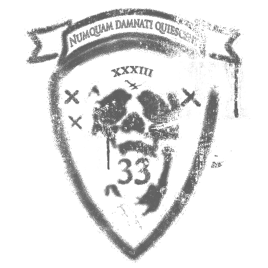 33rd Infantry | Spec Ops Wiki | Fandom