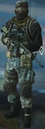33rd Infantry | Spec Ops Wiki | Fandom