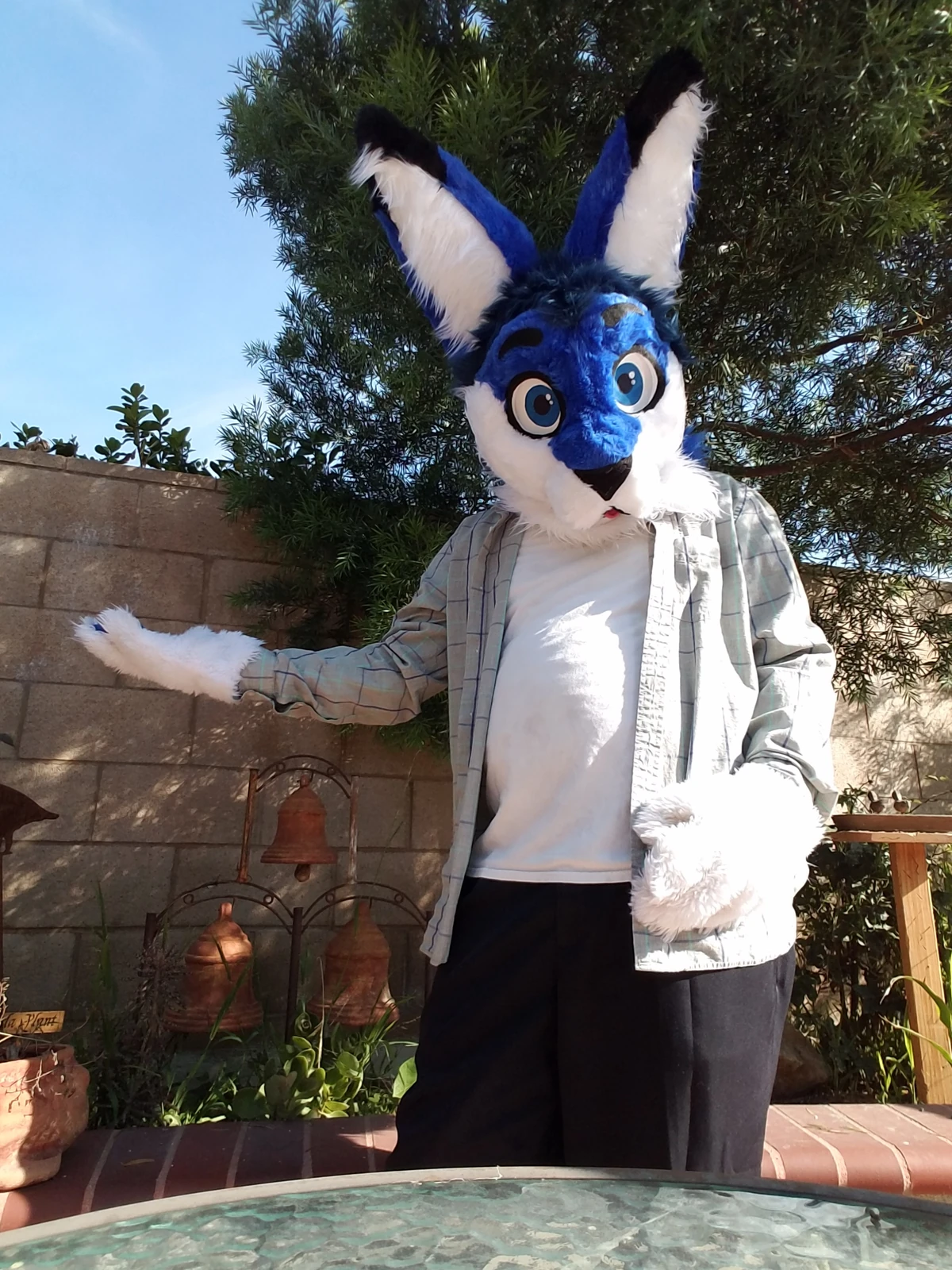 Furry Fandom | Spectral Shadows Wiki | Fandom