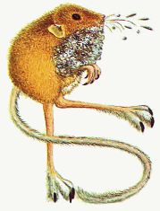 Spitting Featherfoot | Speculative Evolution Wiki | Fandom