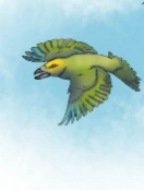 Mowerbirds | Speculative Evolution Wiki | Fandom