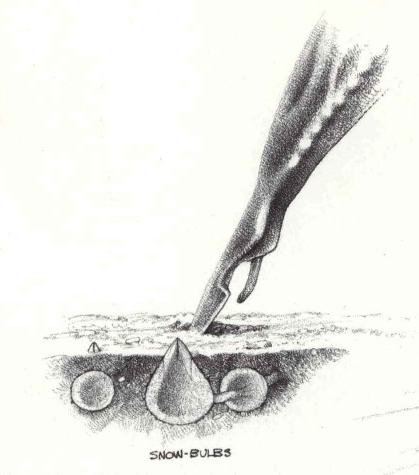 Snow-bulb | Speculative Evolution Wiki | Fandom