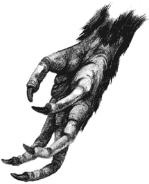 Crackbeak | Speculative Evolution Wiki | Fandom