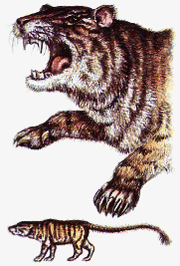 Predator Rats | Speculative Evolution Wiki | Fandom