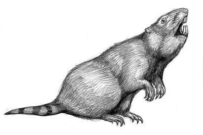 Spec Mammalia: Multituberculata | Speculative Evolution Wiki | Fandom