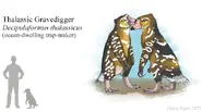 Thalassic gravedigger | Speculative Evolution Wiki | Fandom