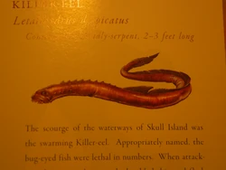 Killer-eel | Speculative Evolution Wiki | Fandom
