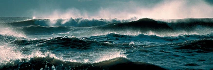 Global ocean | Speculative Evolution Wiki | Fandom