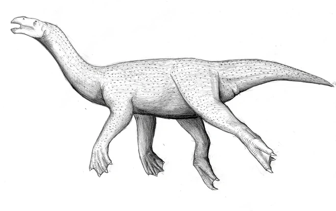 Spec Dinosauria: Pseudosauropoda | Speculative Evolution Wiki | Fandom