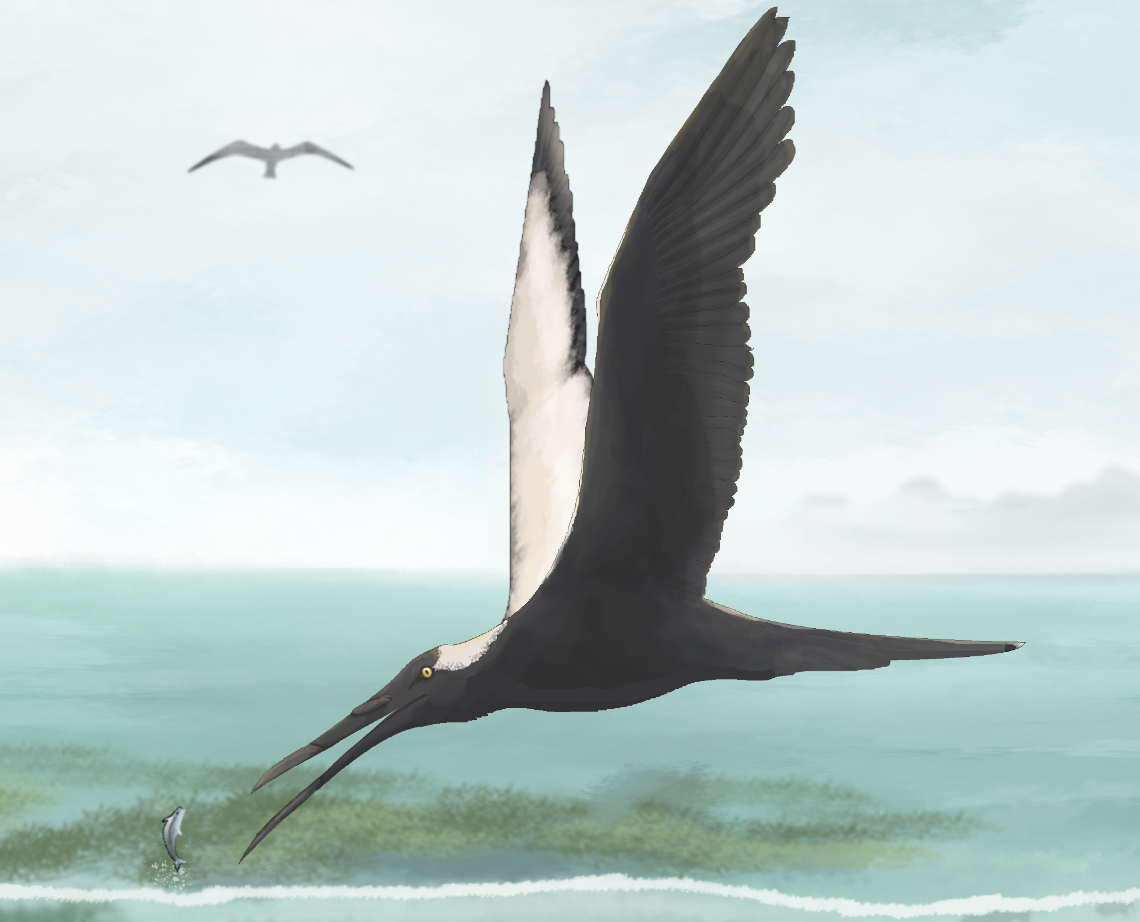 Shadowskimmers | Speculative Evolution Wiki | Fandom Shadowskimmers | Speculative Evolution Wiki | Fandom