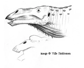 Spec Dinosauria: Hadrosauria | Speculative Evolution Wiki | Fandom