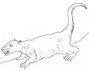 Spec Mammalia: Multituberculata | Speculative Evolution Wiki | Fandom