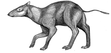 Spec Mammalia: Paraselenodontia | Speculative Evolution Wiki | Fandom