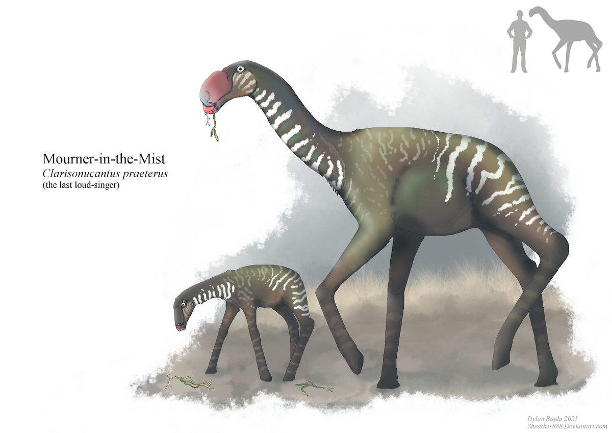 Mourner In The Mist Speculative Evolution Wiki Fandom
