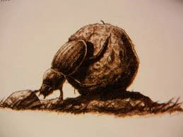 Skull Island Dung Beetle | Speculative Evolution Wiki | Fandom