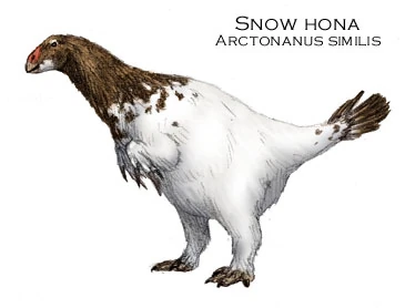 Spec Dinosauria: Therizinosauria | Speculative Evolution Wiki | Fandom