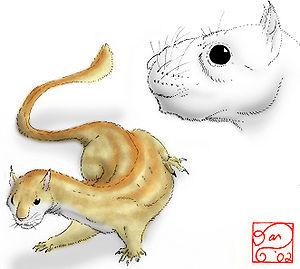 Spec Mammalia: Multituberculata | Speculative Evolution Wiki | Fandom