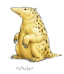 Spec: South America | Speculative Evolution Wiki | Fandom