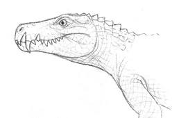 Spec: Artwork | Speculative Evolution Wiki | Fandom