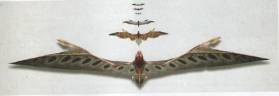 Velocipterus acrobatus | Speculative Evolution Wiki | Fandom