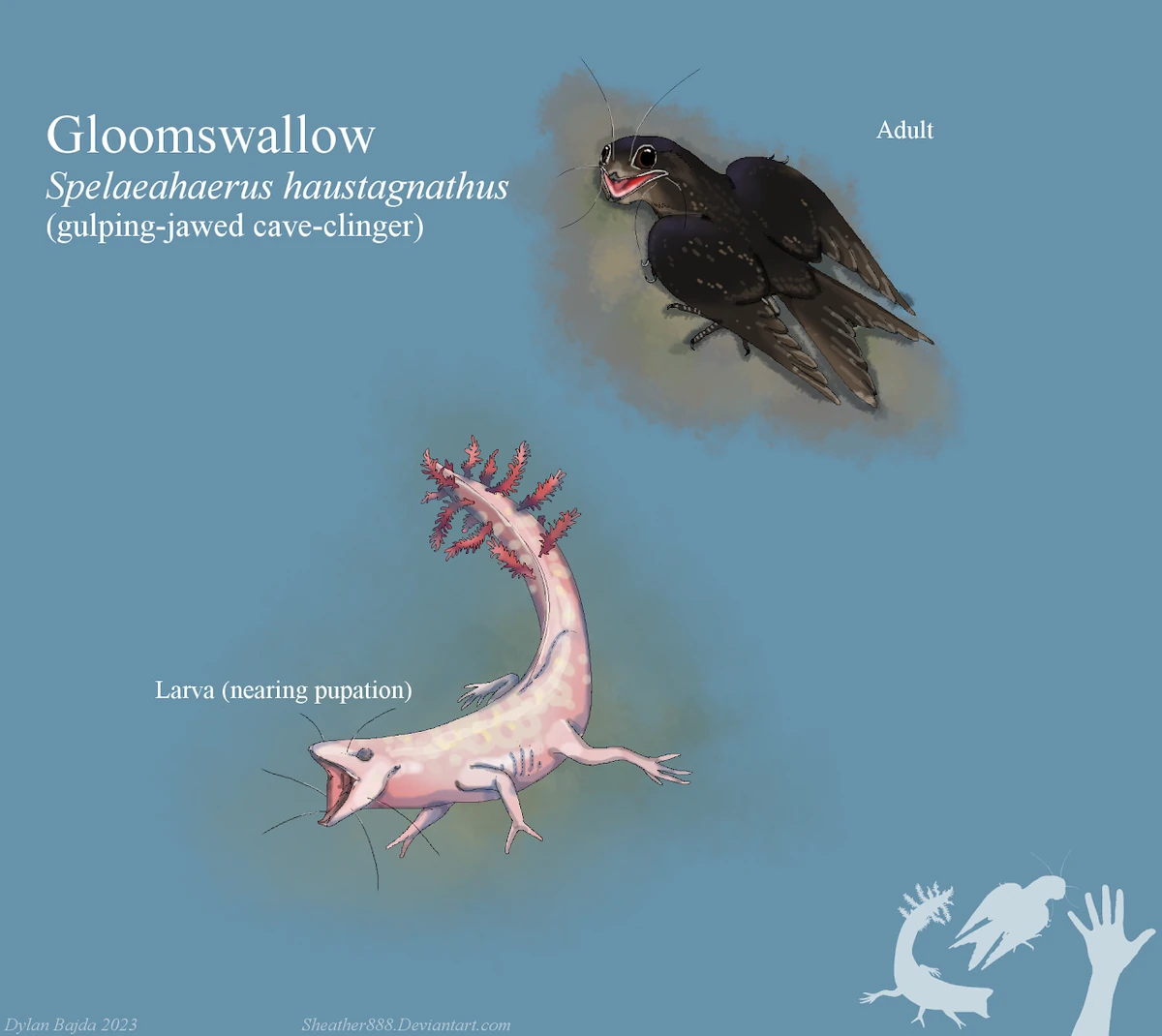 Gloomswallow | Speculative Evolution Wiki | Fandom