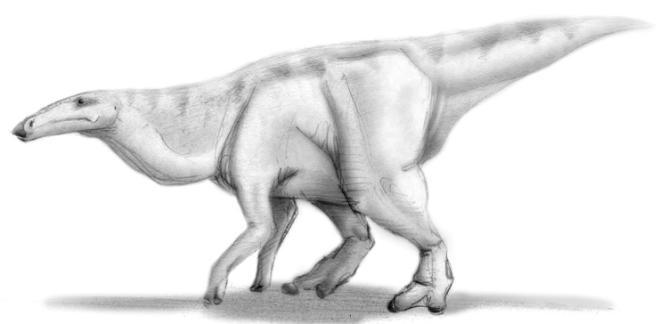 Spec Dinosauria: Neohadrosauria | Speculative Evolution Wiki | Fandom