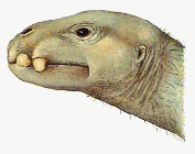 Ghole | Speculative Evolution Wiki | Fandom