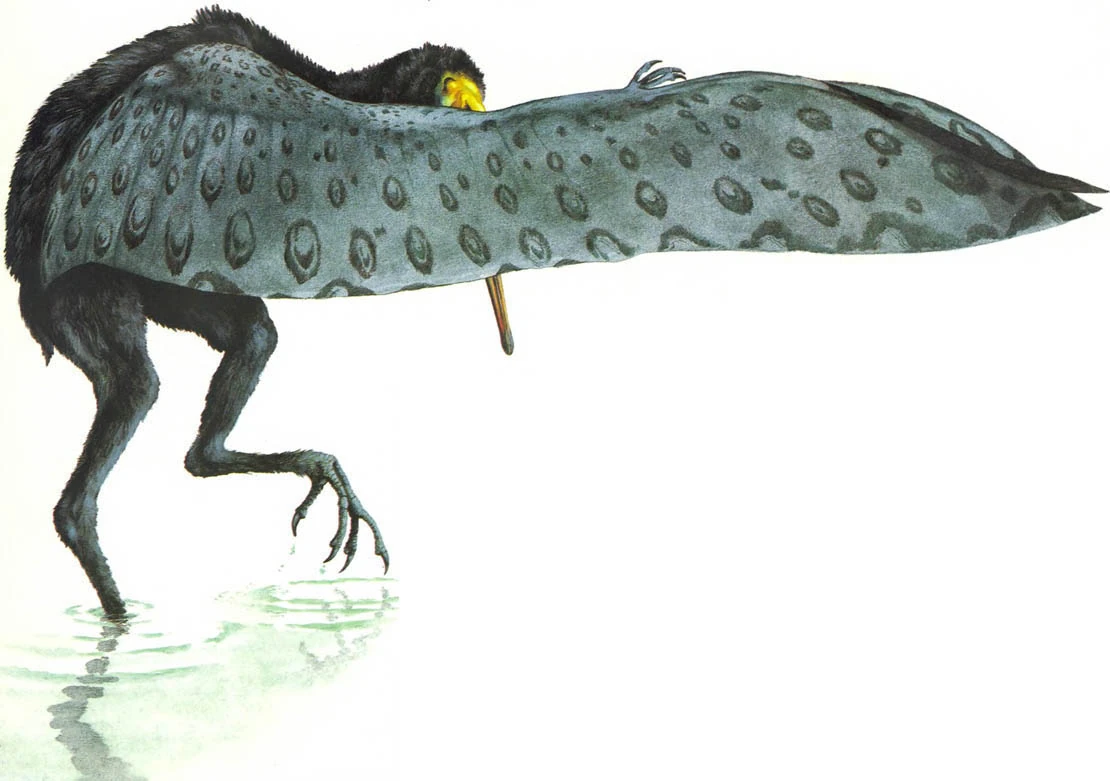 The New Dinosaurs: An Alternative Evolution