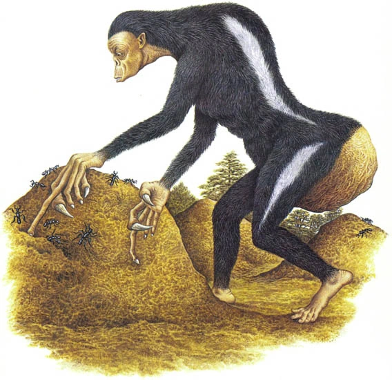 Book Review: Man After Man: An Anthropology of the Future by Dougal ...