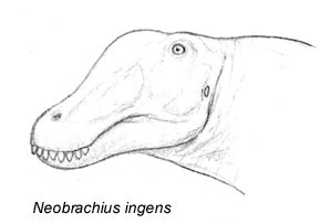 Spec Dinosauria: Titanosauria | Speculative Evolution Wiki | Fandom