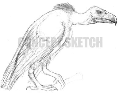 Spec: Artwork | Speculative Evolution Wiki | Fandom