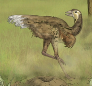 Aardgeese | Speculative Evolution Wiki | Fandom