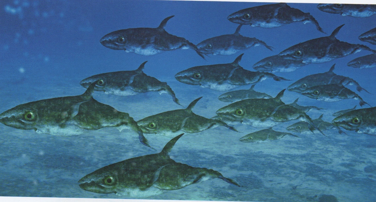 Rhombosepidae, the reign of cuttlefish | Speculative Evolution Wiki ...