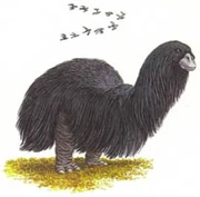 Tromble | Speculative Evolution Wiki | Fandom