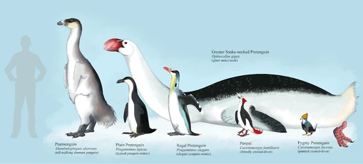 Pretenguins | Speculative Evolution Wiki | Fandom