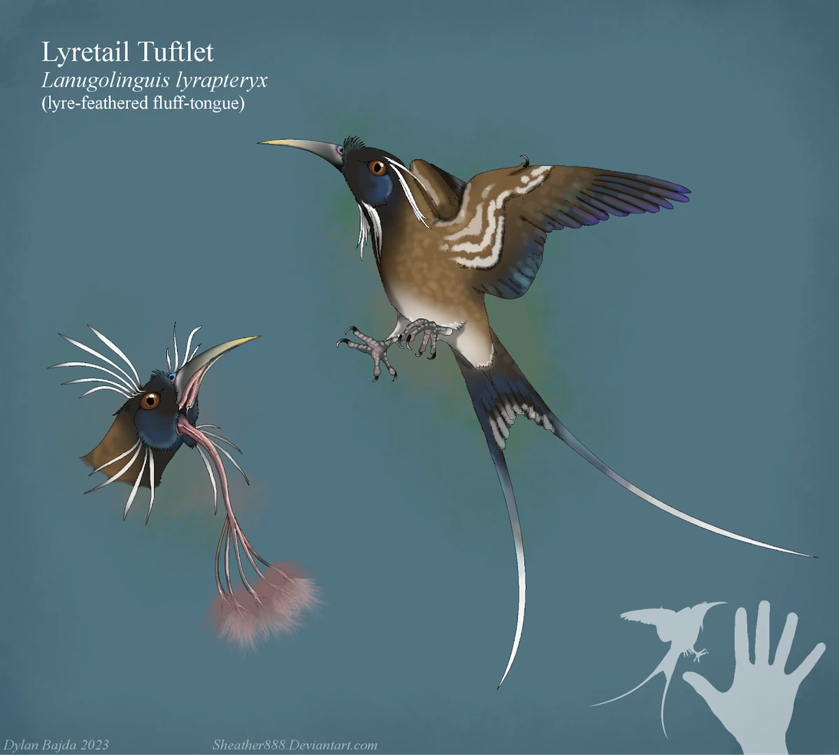 Lyretail Tuftlet | Speculative Evolution Wiki | Fandom