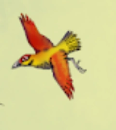Firefinch | Speculative Evolution Wiki | Fandom