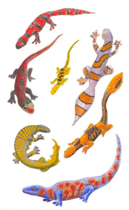 Spec: Lepidosauria | Speculative Evolution Wiki | Fandom