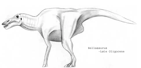 Spec: The History of Spec World | Speculative Evolution Wiki | Fandom