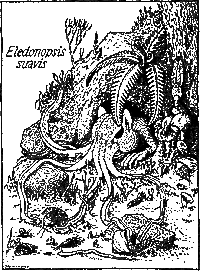 The Snouters: Form and Life of the Rhinogrades | Speculative Evolution ...