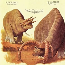 After Man A Zoology Of The Future Animals