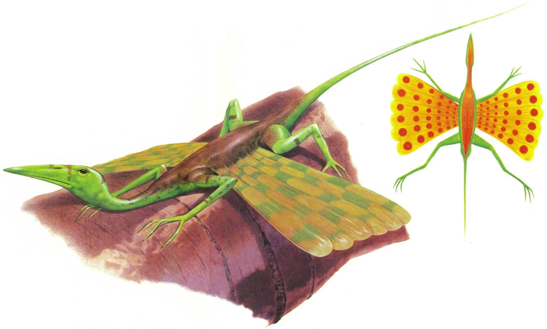 Scaly Glider | Speculative Evolution Wiki | Fandom