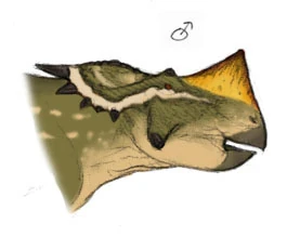 Spec Dinosauria: Cenoceratopsia | Speculative Evolution Wiki | Fandom