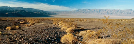 North American Desert | Speculative Evolution Wiki | Fandom