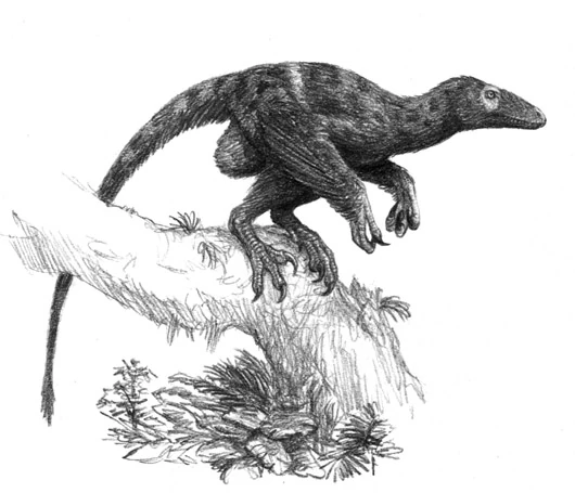 Spec Dinosauria: Deinonychosauria | Speculative Evolution Wiki | Fandom