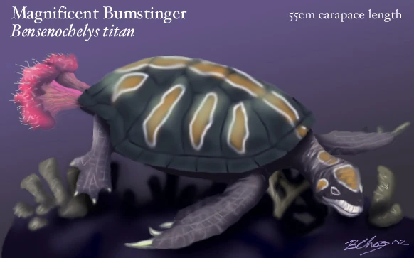 Evolution Of Turtles